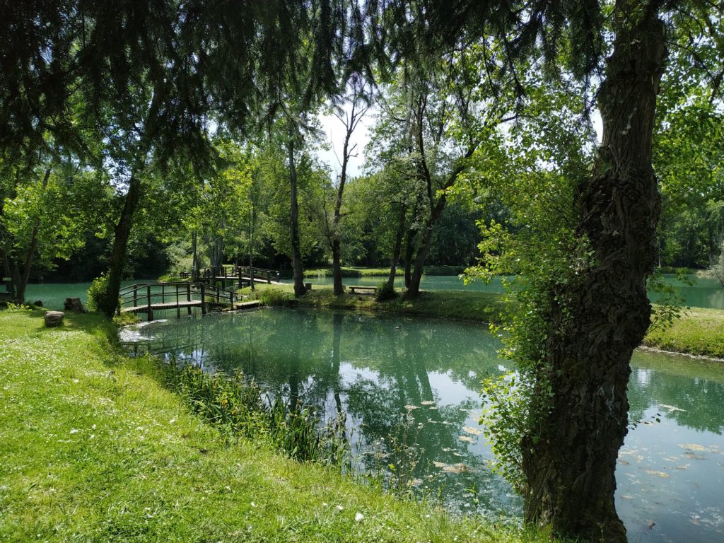 Un petit tour au Lacot d’Artix | Arthez mon village – Site d ...